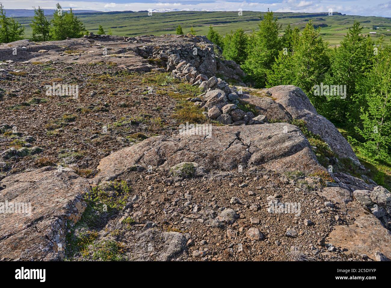 Basalt rock formations and trees by an old stone wall marking the ...