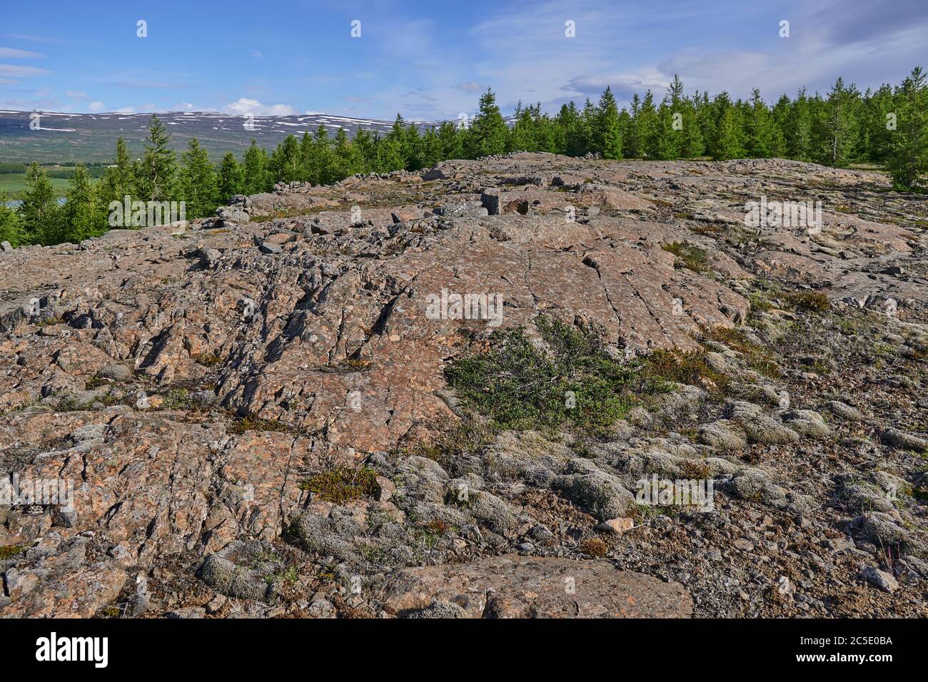 Basalt rock formations and trees by an old stone wall marking the ...