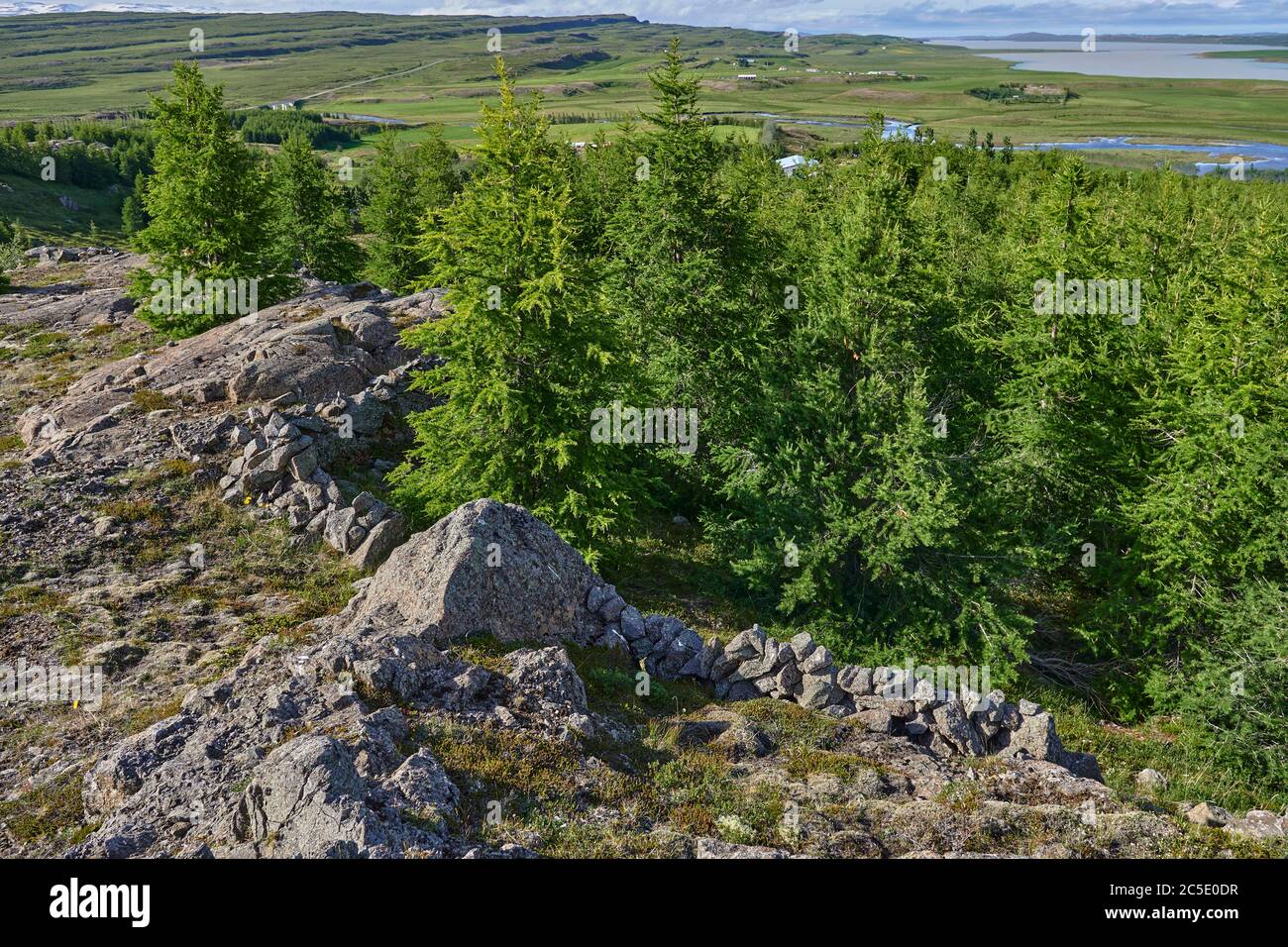 Basalt rock formations and trees by an old stone wall marking the ...