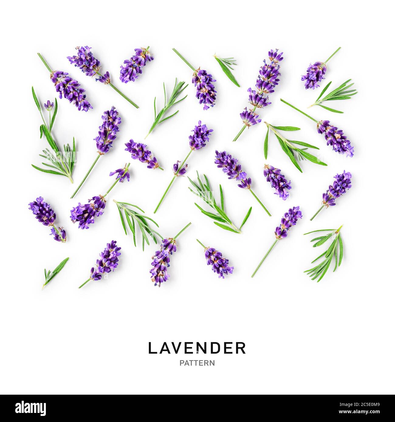Lavender flowers and leaves creative pattern and collection isolated on ...