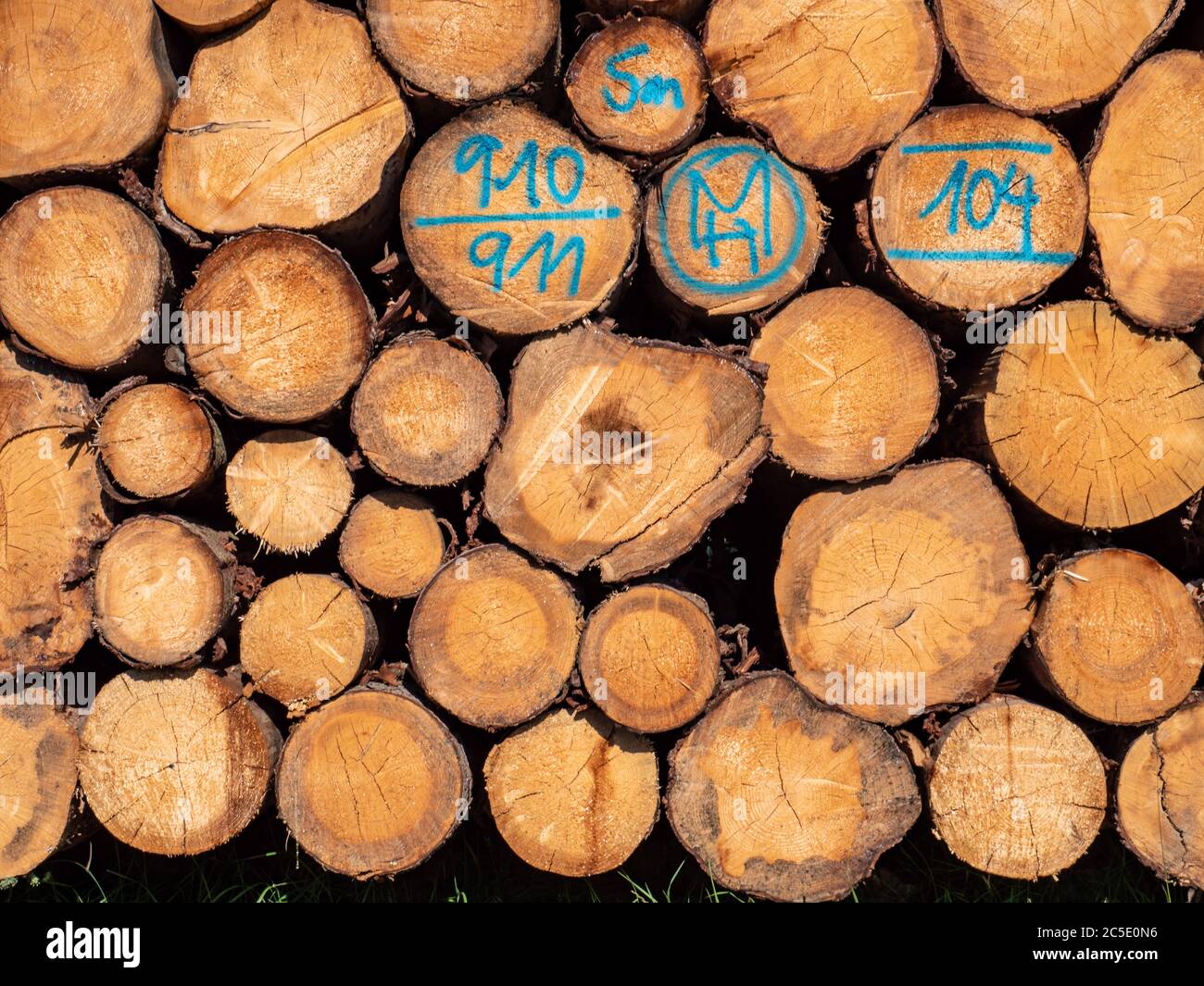 Tree trunks background of lumber material Stock Photo - Alamy