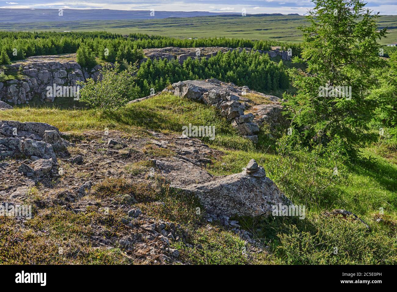 Basalt rock formations and trees by an old stone wall marking the ...