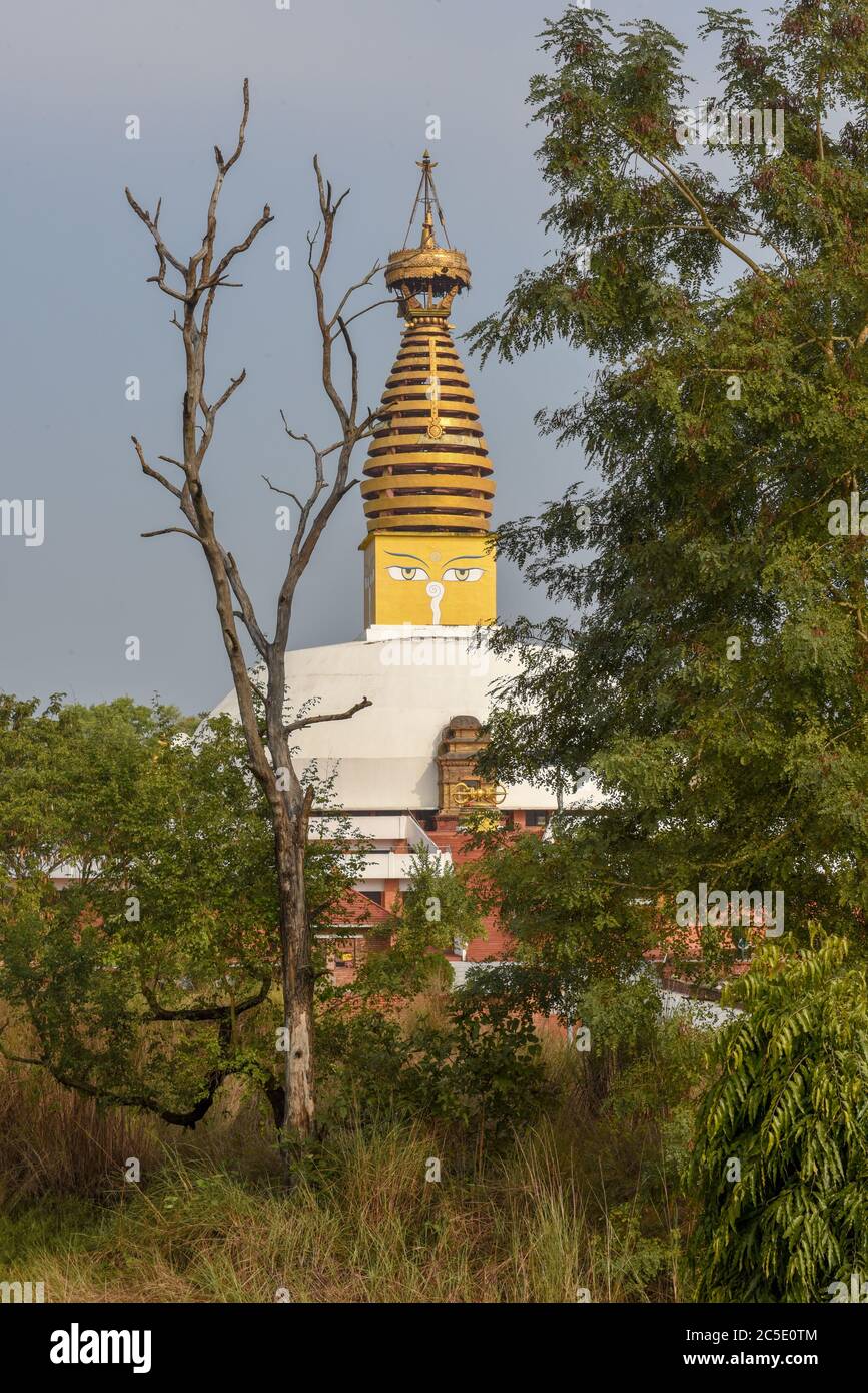Buddhist monastery at the monastic zone of Lumbini in Nepal Stock Photo ...