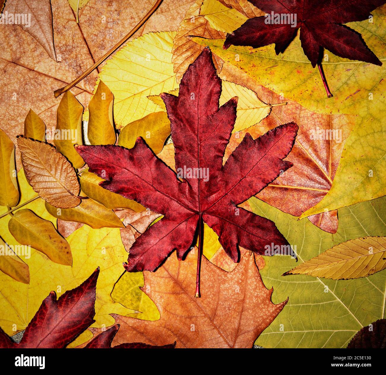 Highview hi-res stock photography and images - Alamy