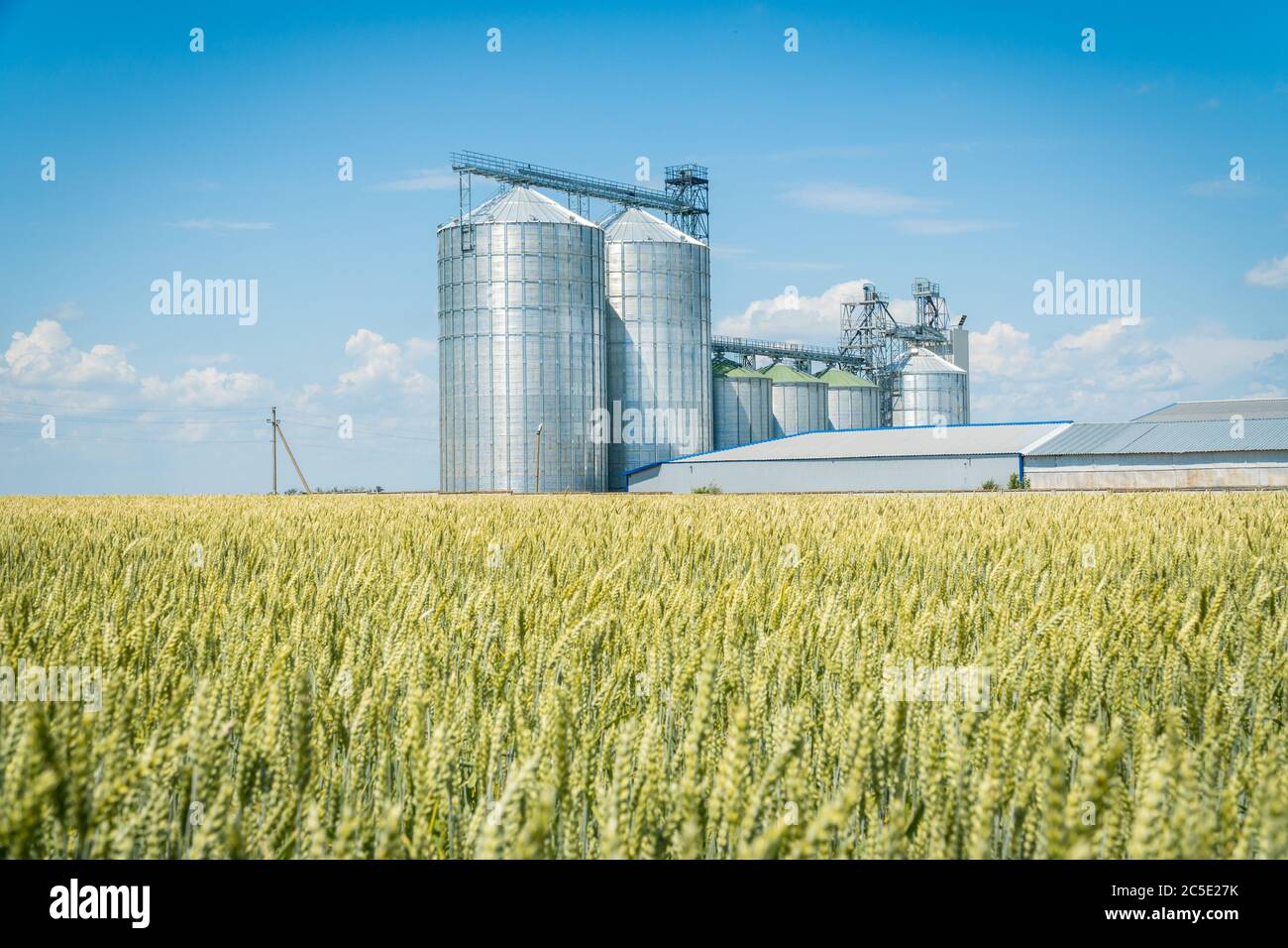 Modern grain elevator in a green wheat field. Agriculture crops storage ...