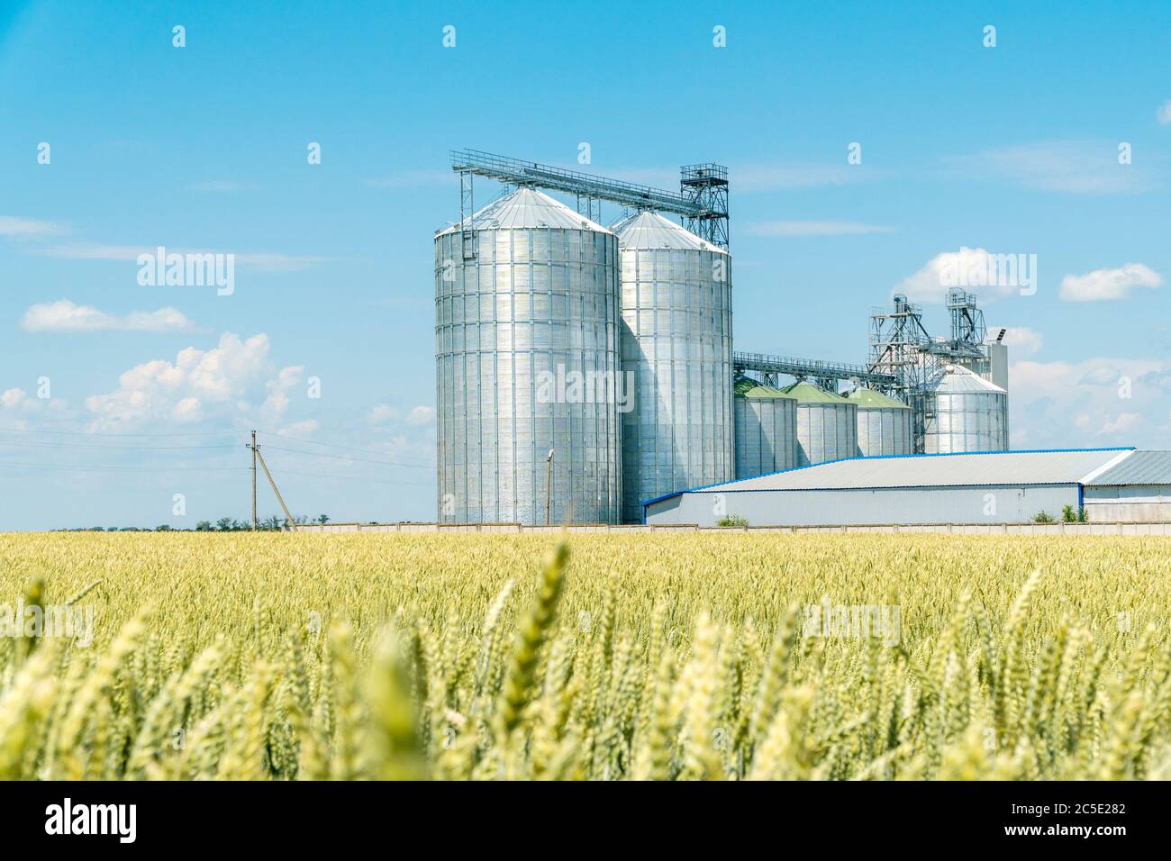Modern grain elevator in a green wheat field. Agriculture crops storage ...