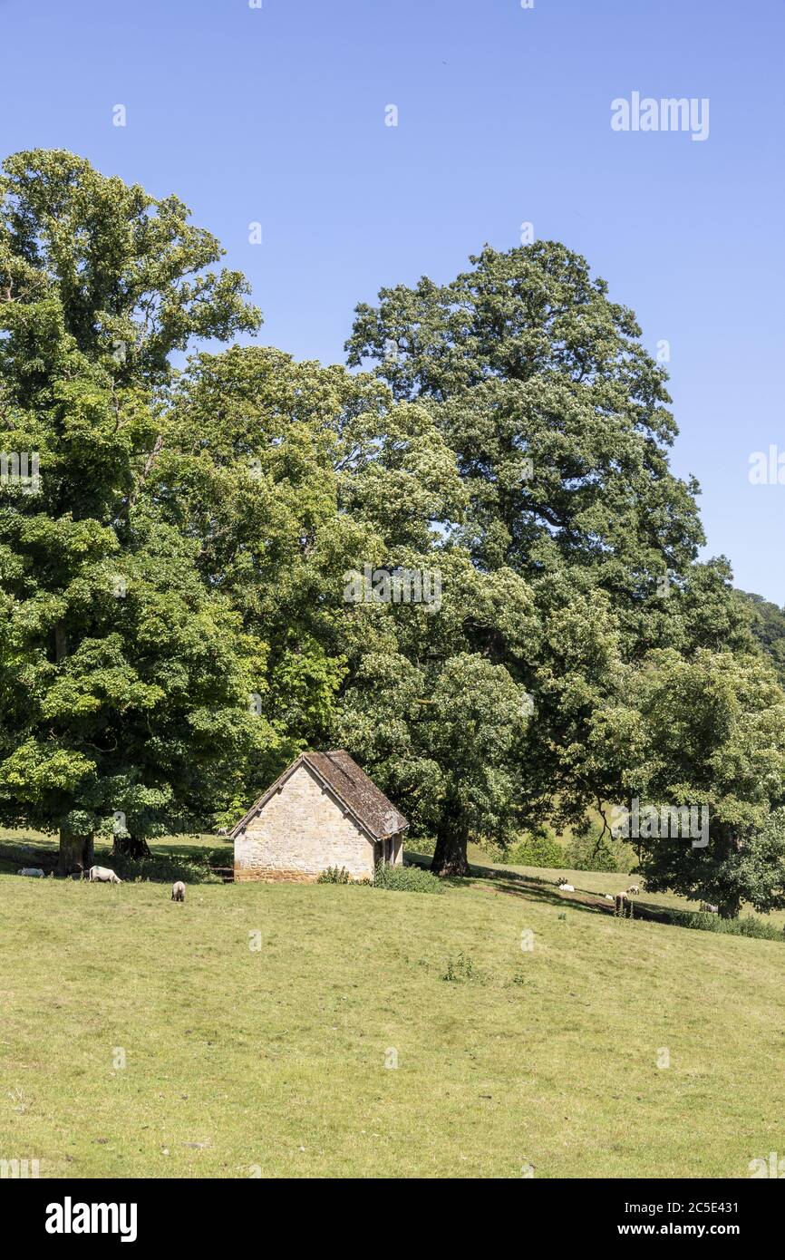 Sheep fold hi-res stock photography and images - Alamy