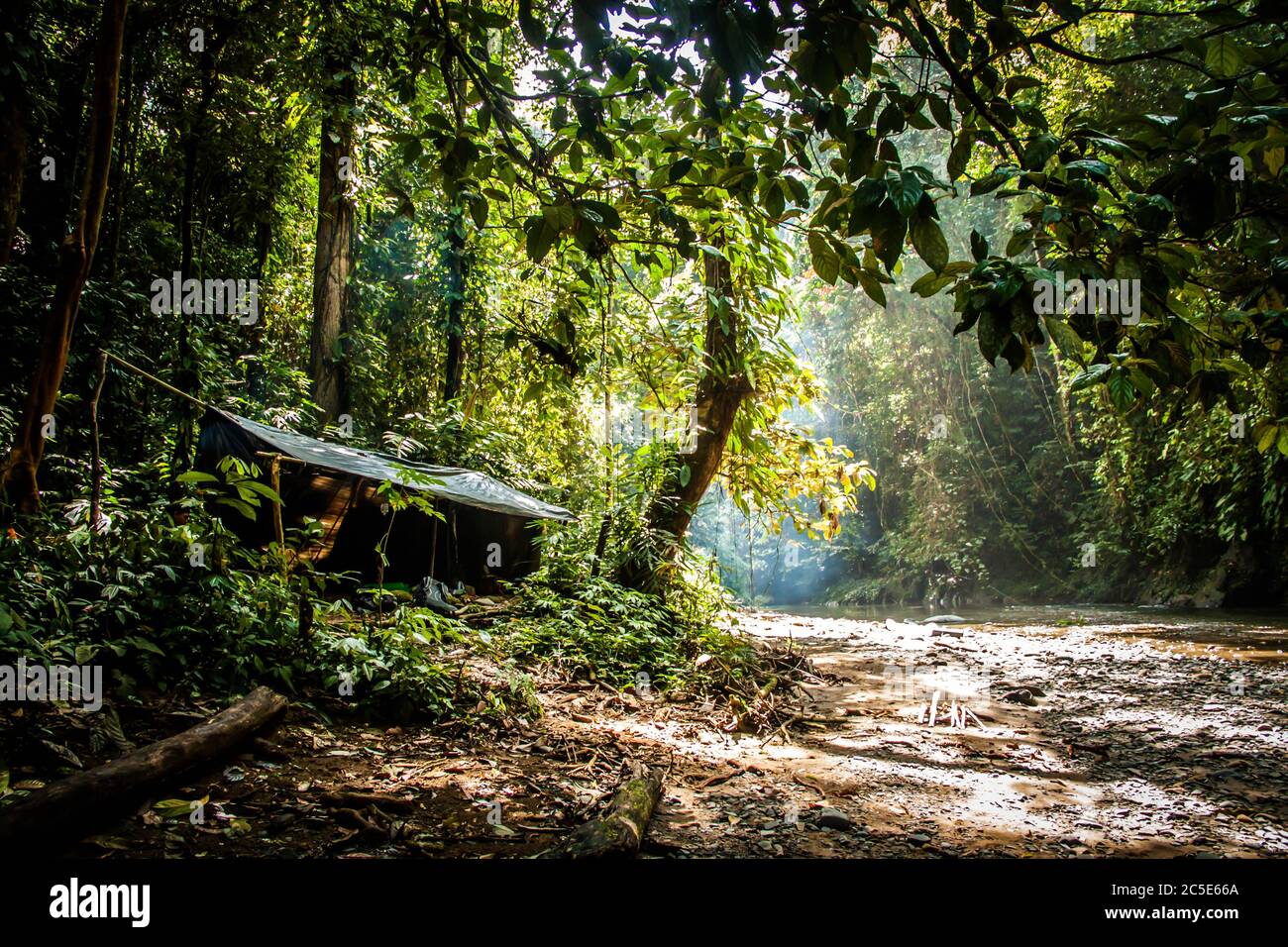 An open tent and the camping site in the rainforests of Sumatra in the ...