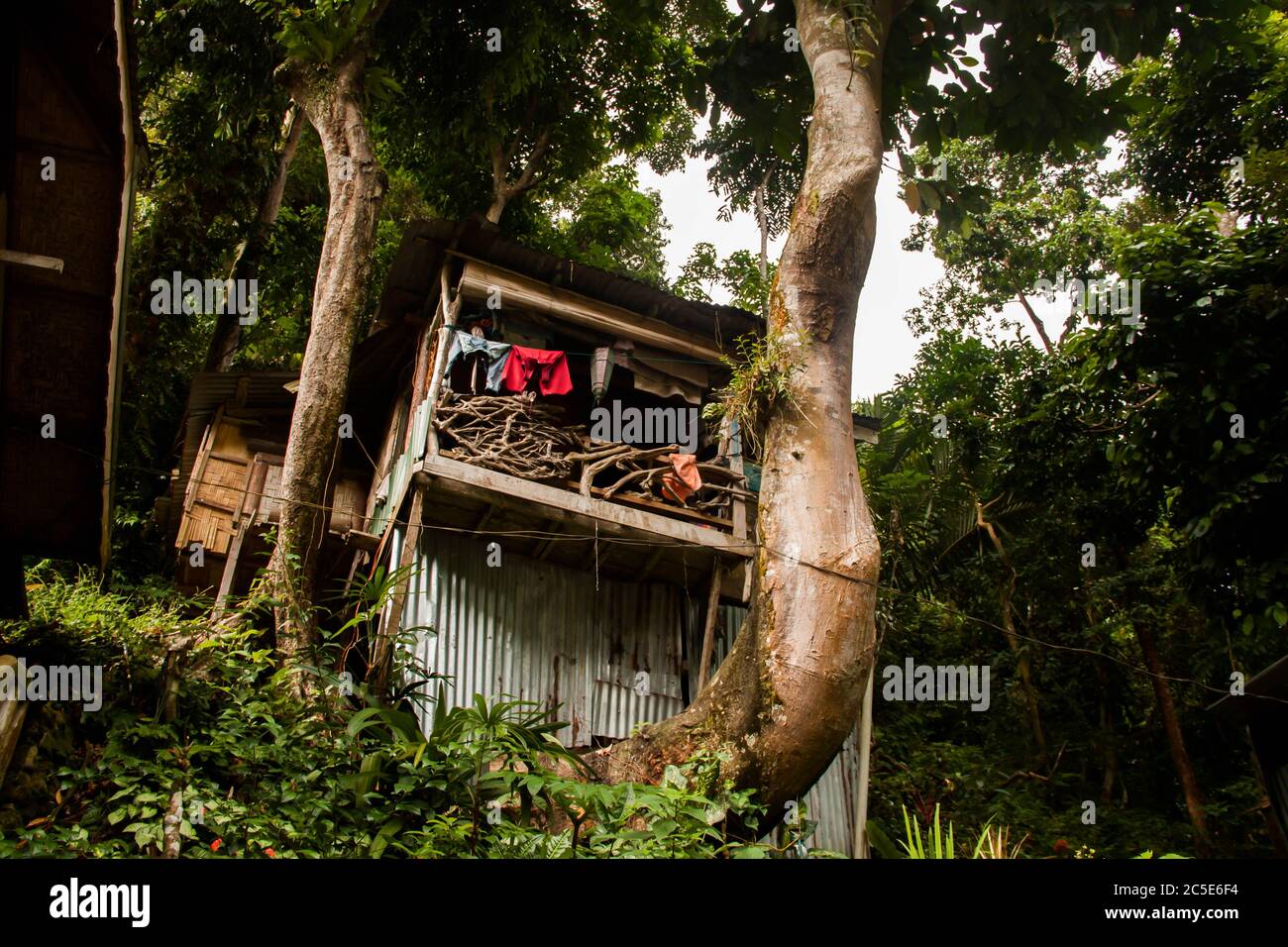 Old village house in the rainforests of Sumatra Stock Photo - Alamy