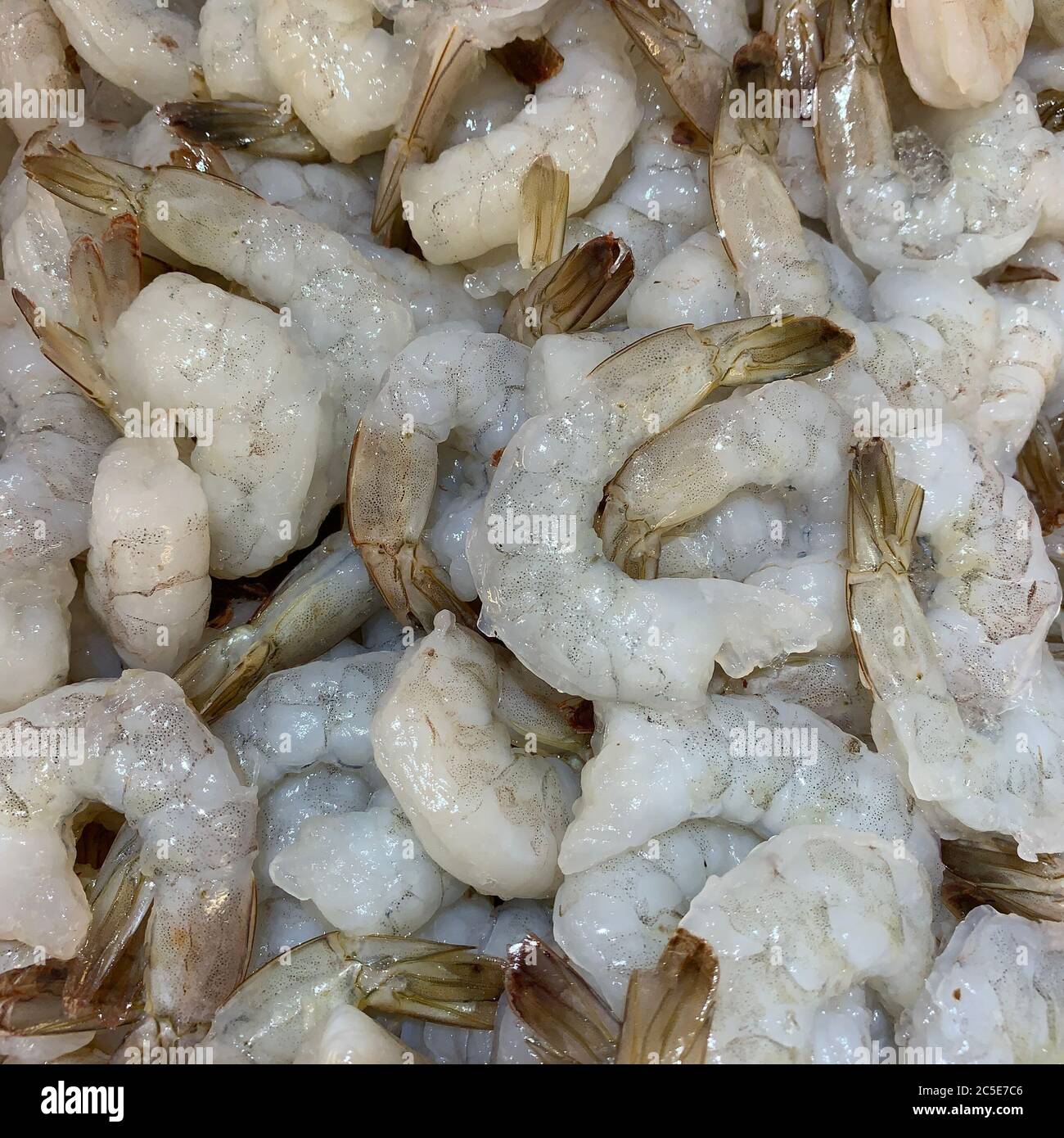 Picture of frozen fisherman hi-res stock photography and images - Alamy