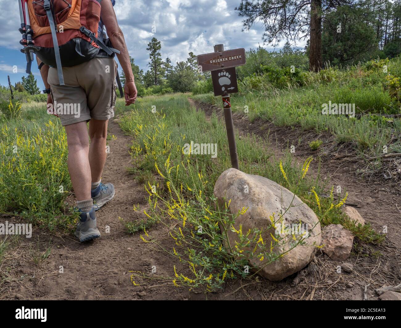 Woman hikes the Chicken Creek Trail north of Mancos State Park, Mancos ...