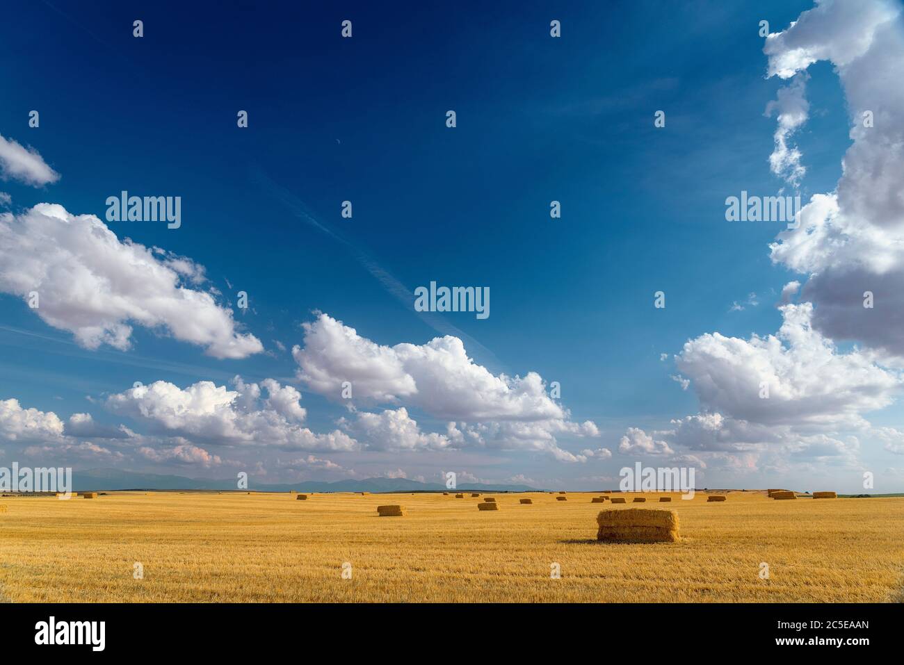 500px Photo ID: 271074187 Stock Photo - Alamy