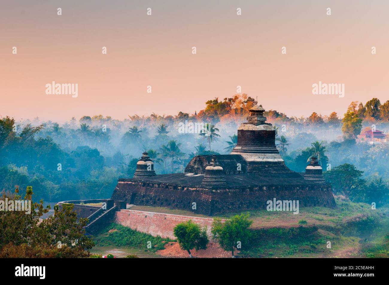Burma forest flora hi-res stock photography and images - Alamy