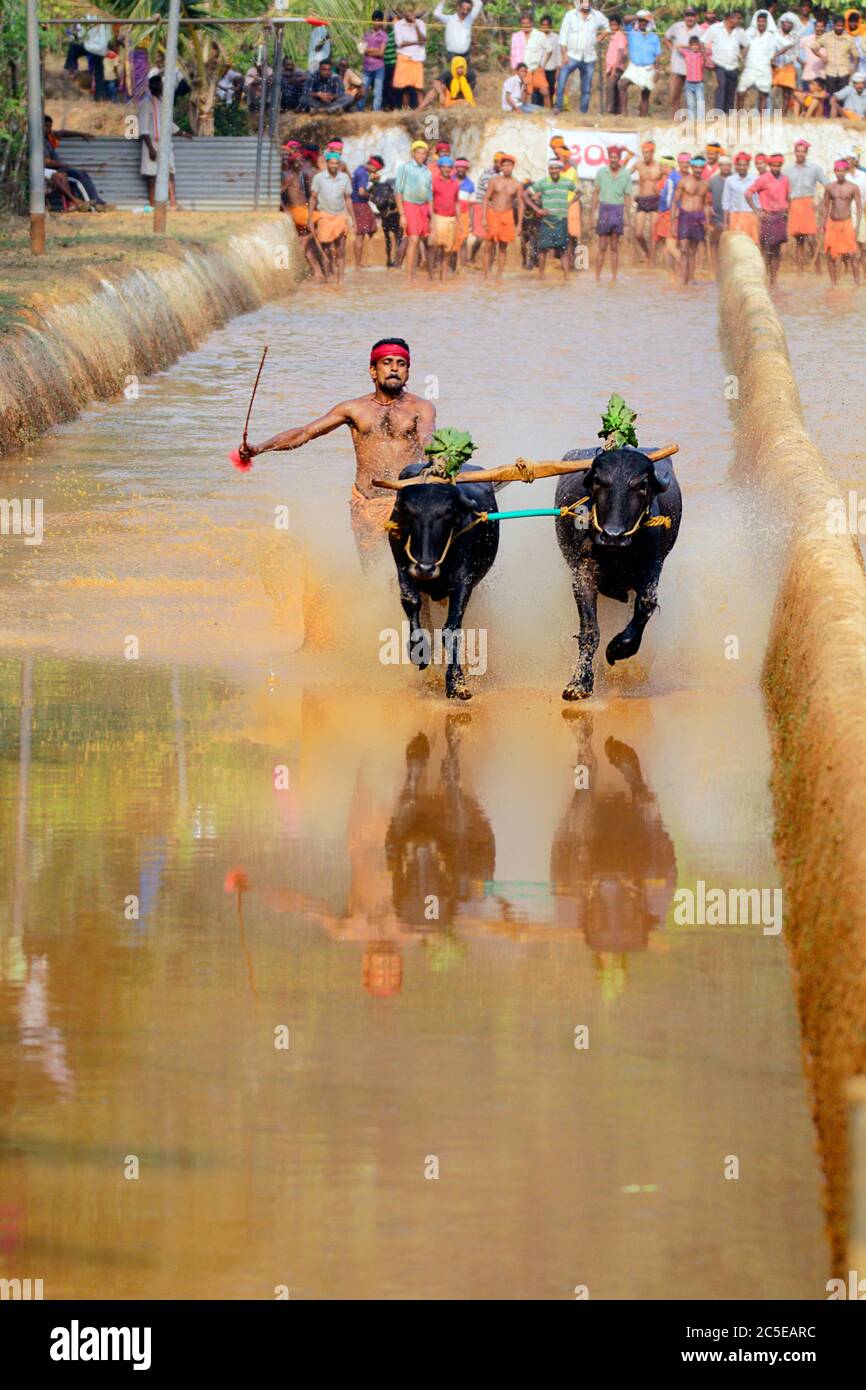 Kannada hi-res stock photography and images - Alamy