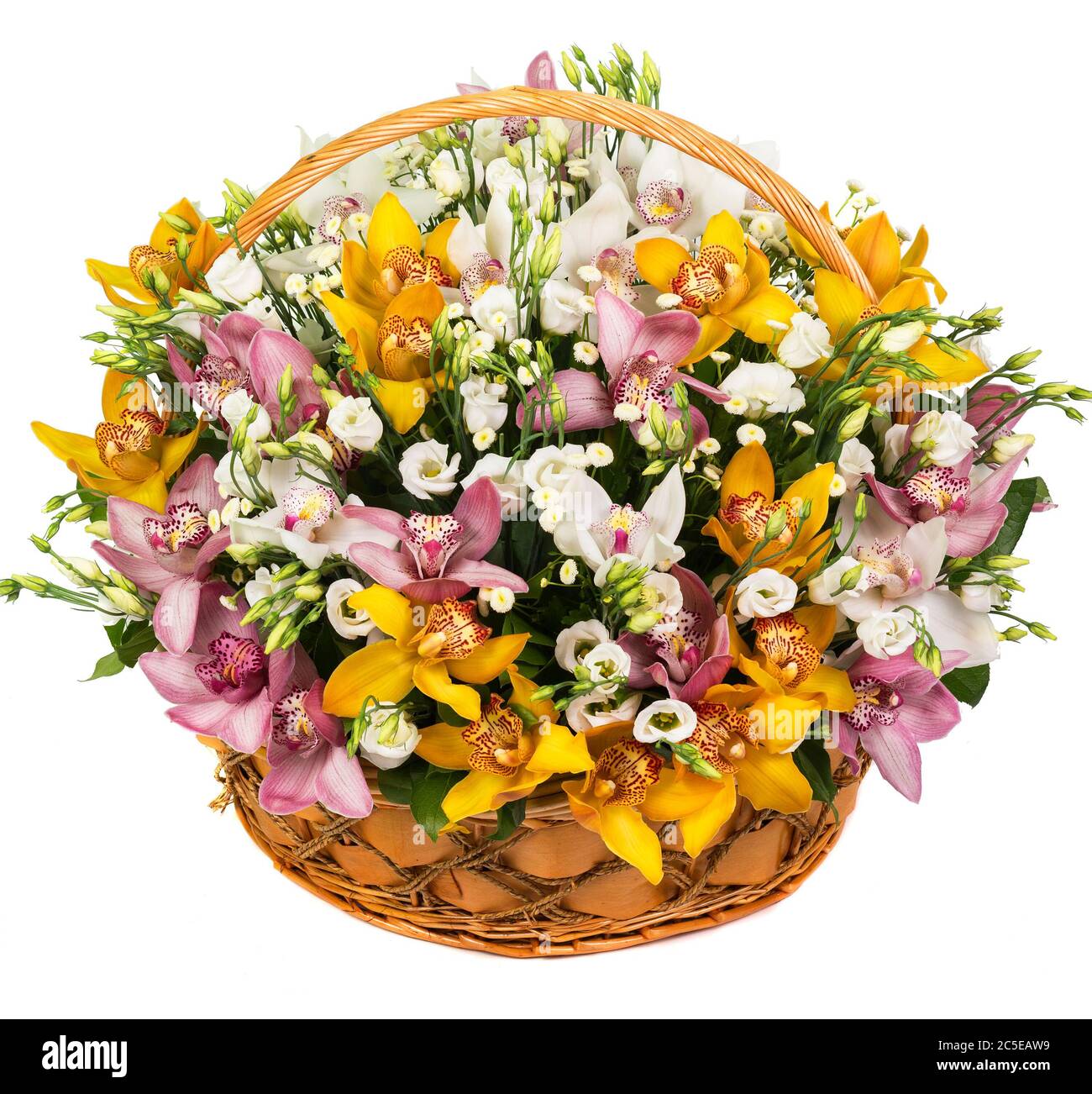 Orchids basket hi-res stock photography and images - Alamy