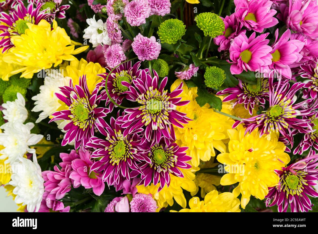 Colorful flowers abstract background hi-res stock photography and ...