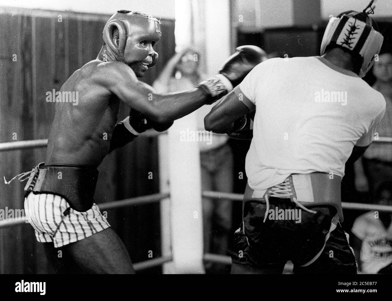 Michael nunn hi-res stock photography and images - Alamy