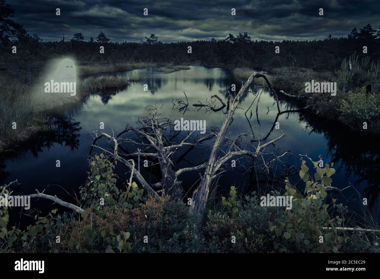 Swamp ghost hi-res stock photography and images - Alamy