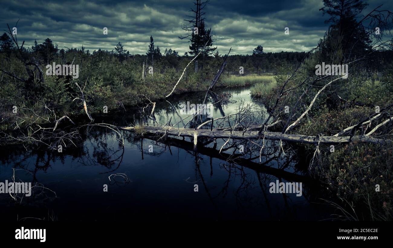 Scary lake night hi-res stock photography and images - Alamy