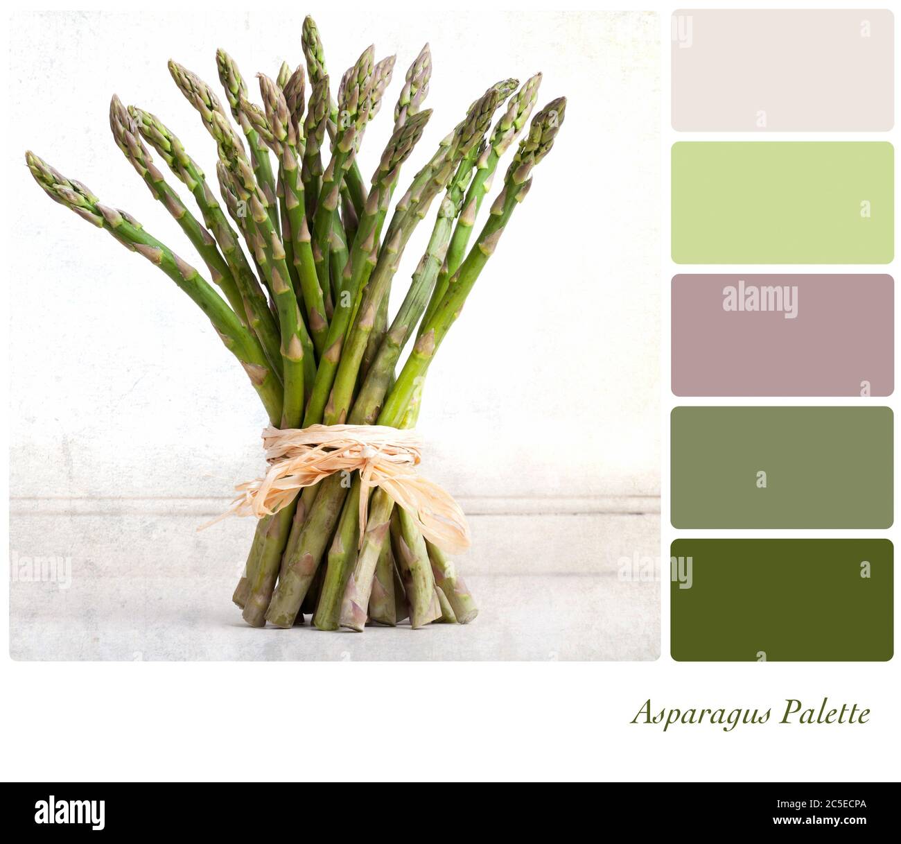 Vintage plant chart hi-res stock photography and images - Alamy