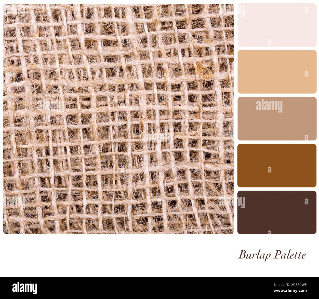 A colour palette of burlap sackcloth with complimentary colour swatches ...