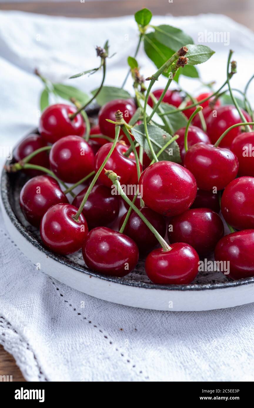 New harvest of red ripe juicy sour cherry or kriek berry fruit Stock ...