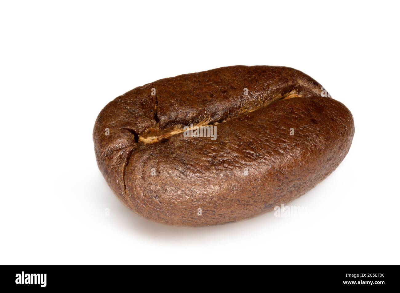 Extreme macro of a single coffee bean. Focus stacking has been used to ...