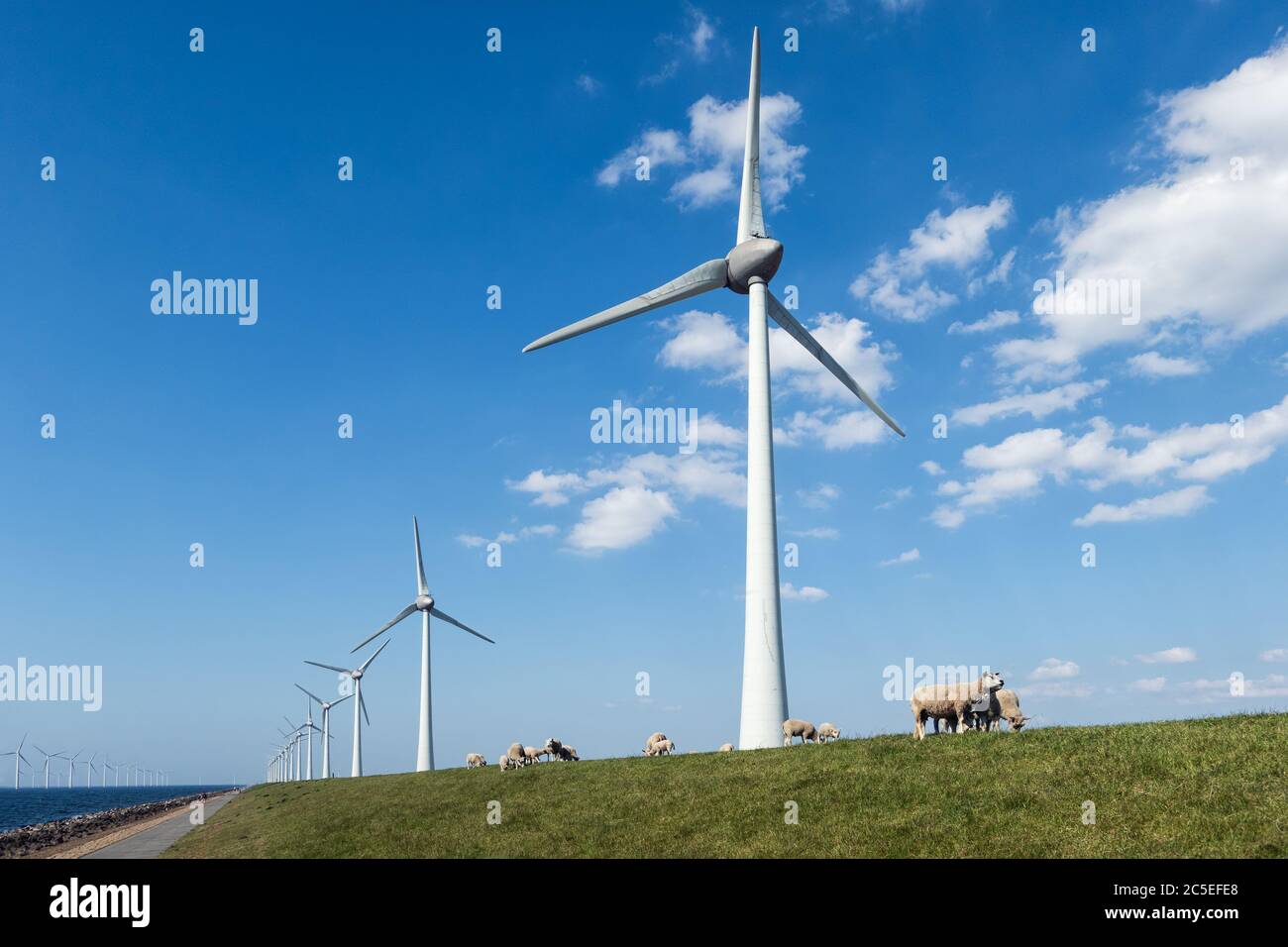 Dutch dike with wind turbines and sheep Stock Photo - Alamy