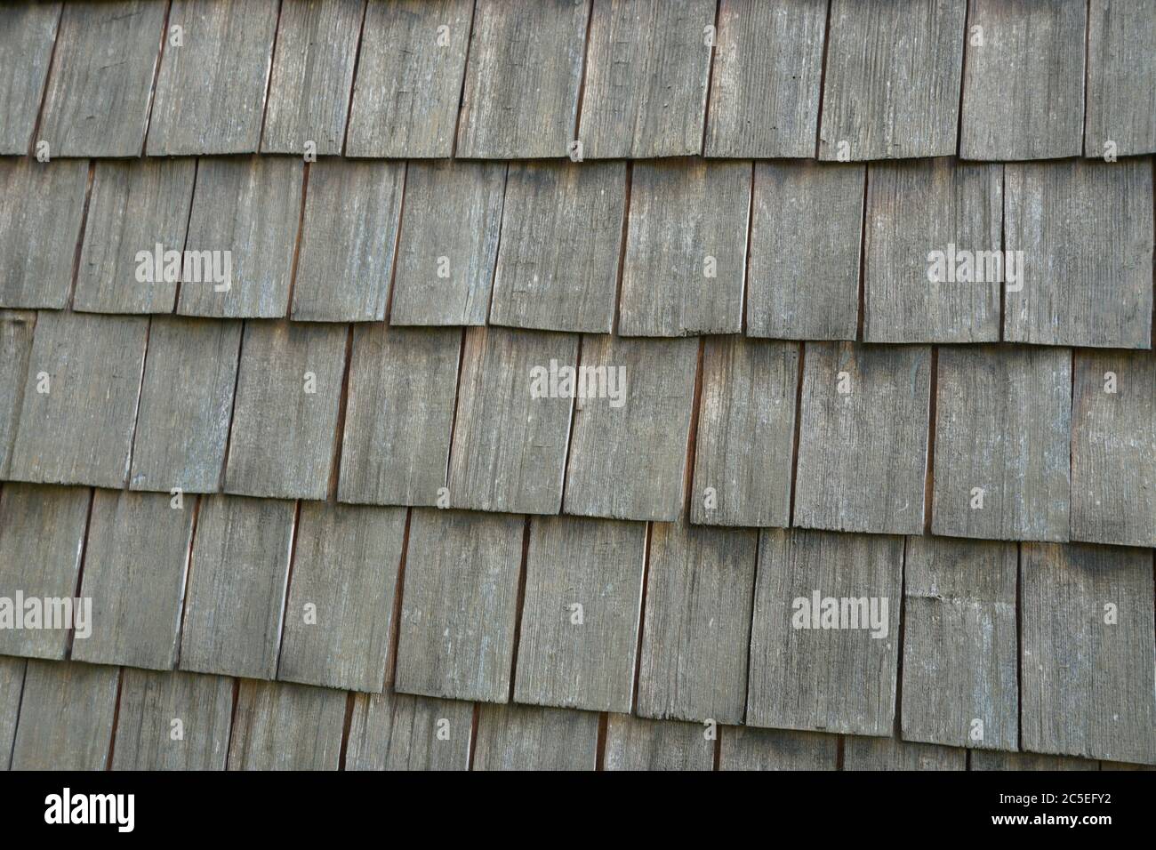 A wooden shingle in neat rows on a roof close up. A detail of a roof of ...