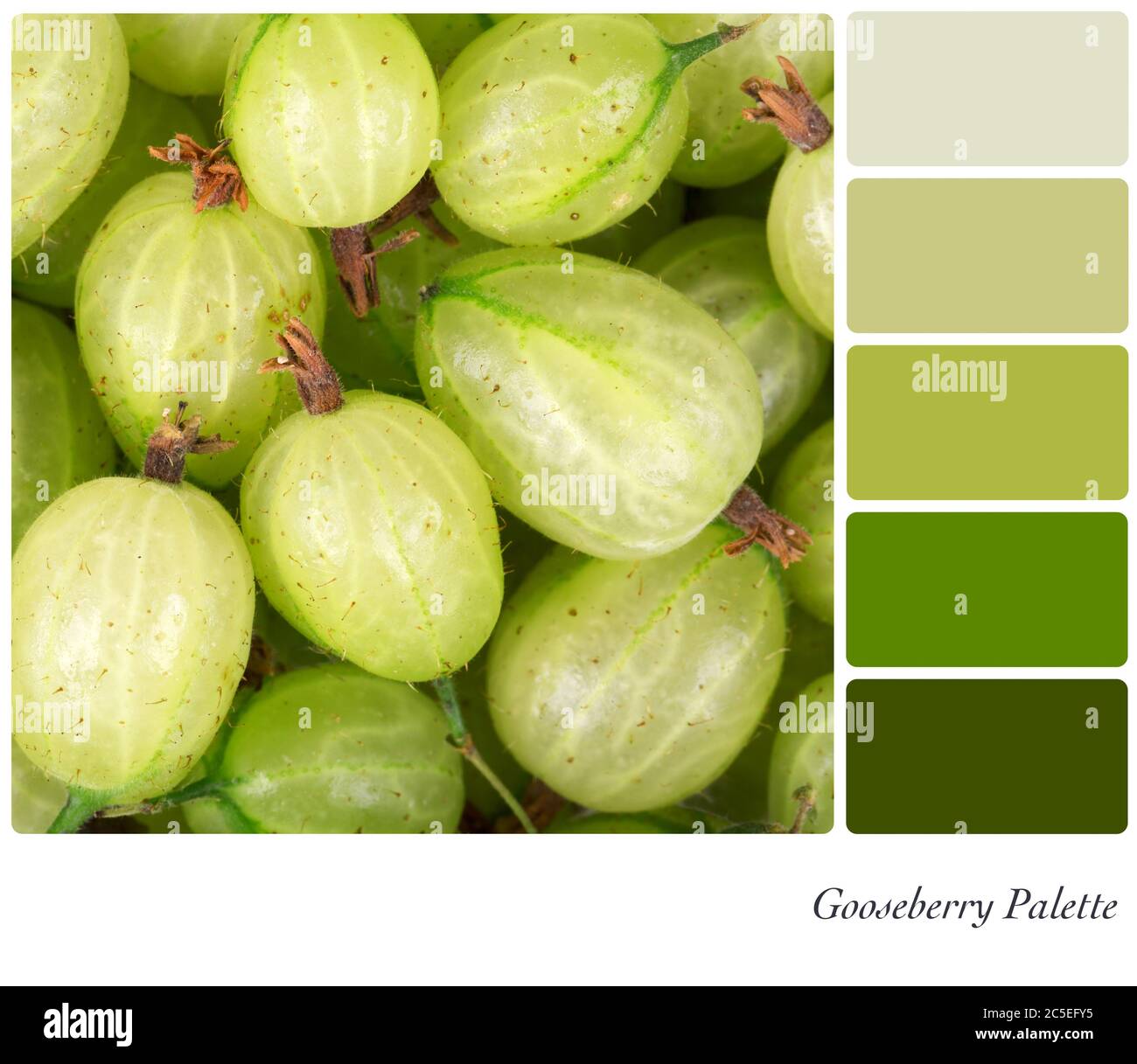 Colour mood chart Cut Out Stock Images & Pictures - Alamy