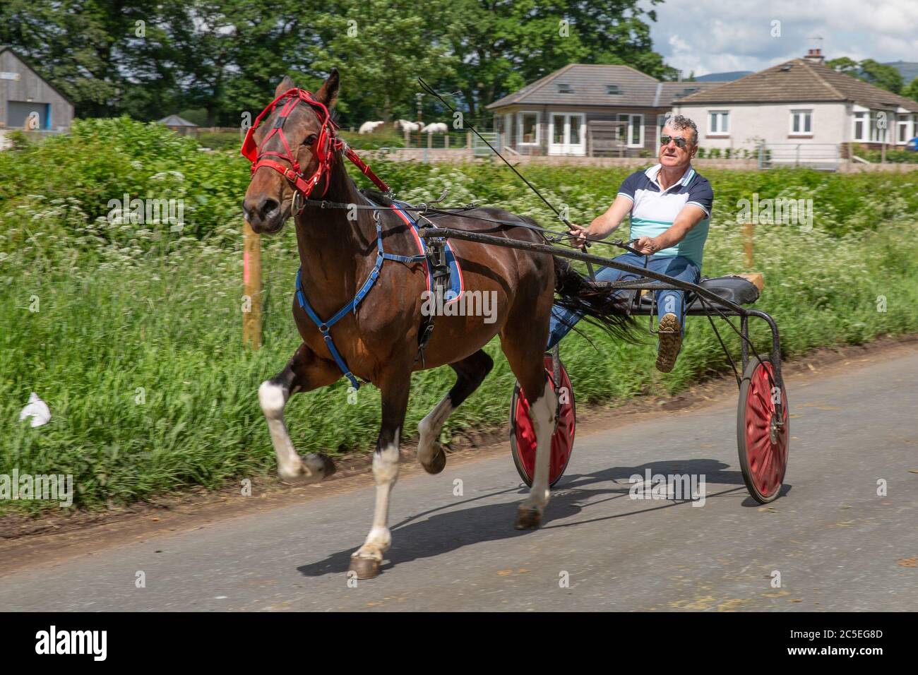 Appleby Horse Fair, Cumbria. A gathering of Gypsies and Travellers in ...
