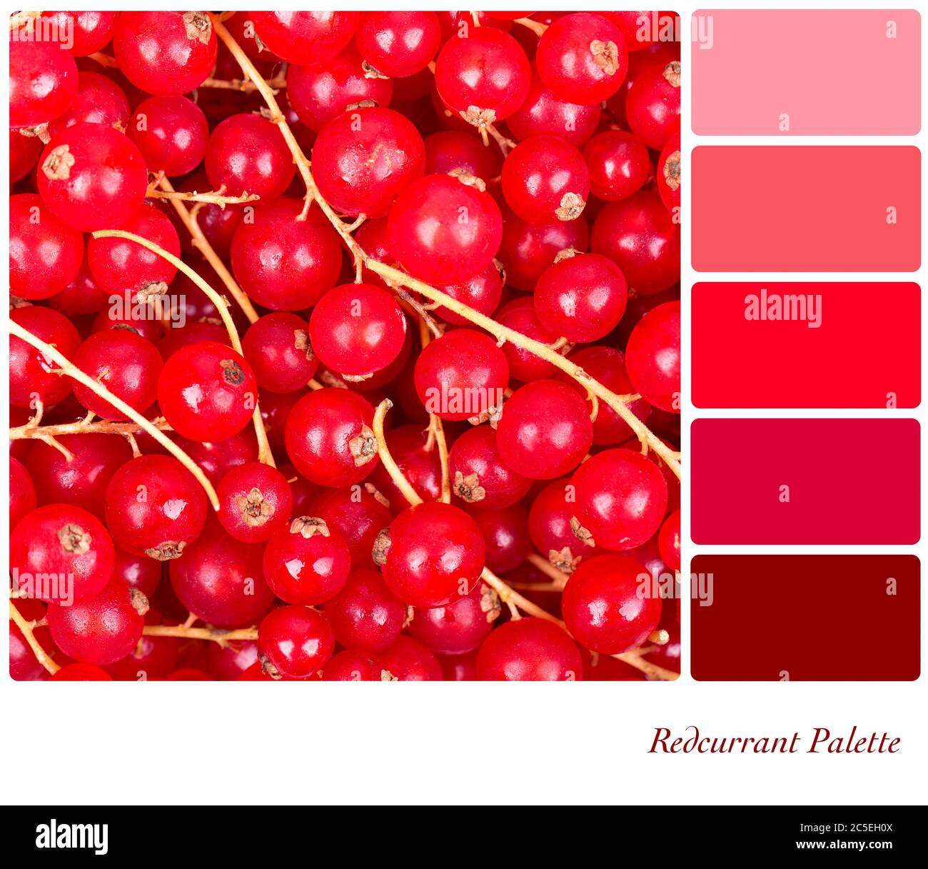 Pink and red colour chart hi-res stock photography and images - Alamy