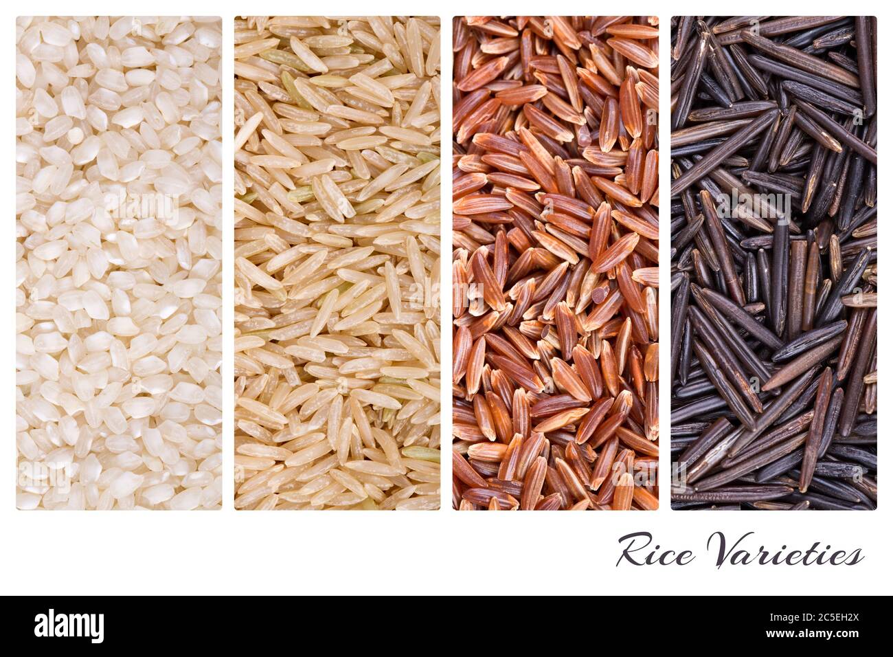 A collage of rice varieties of risotto, brown basmati, red camarge and ...