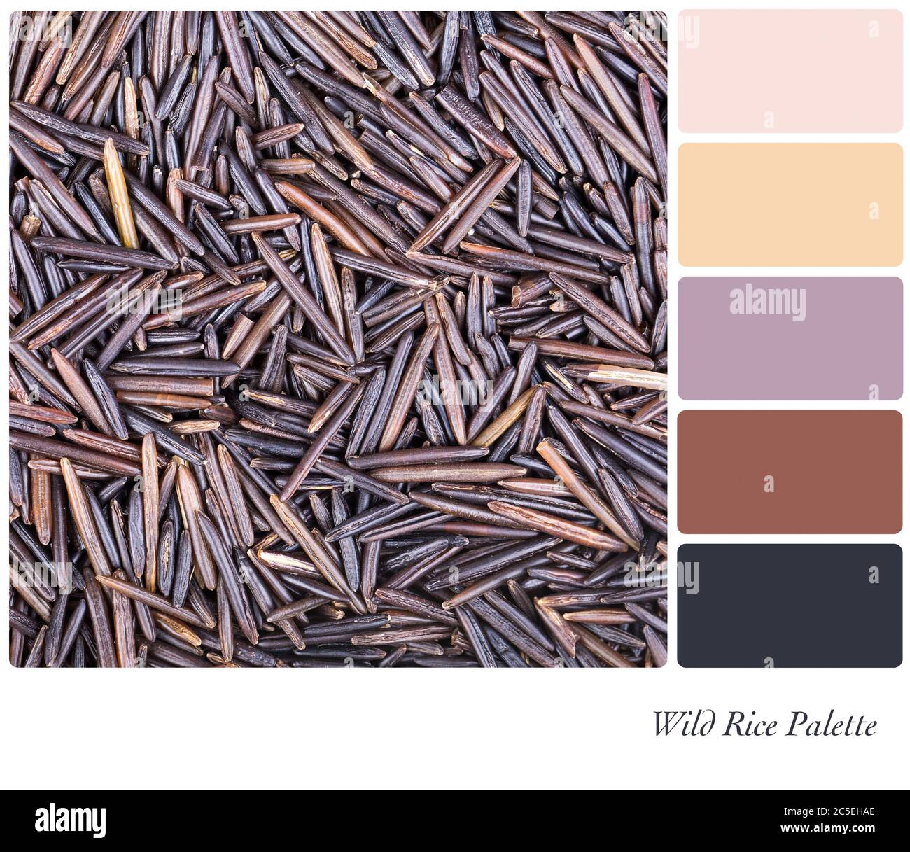 A background of Canadian wild rice in a colour palette with ...