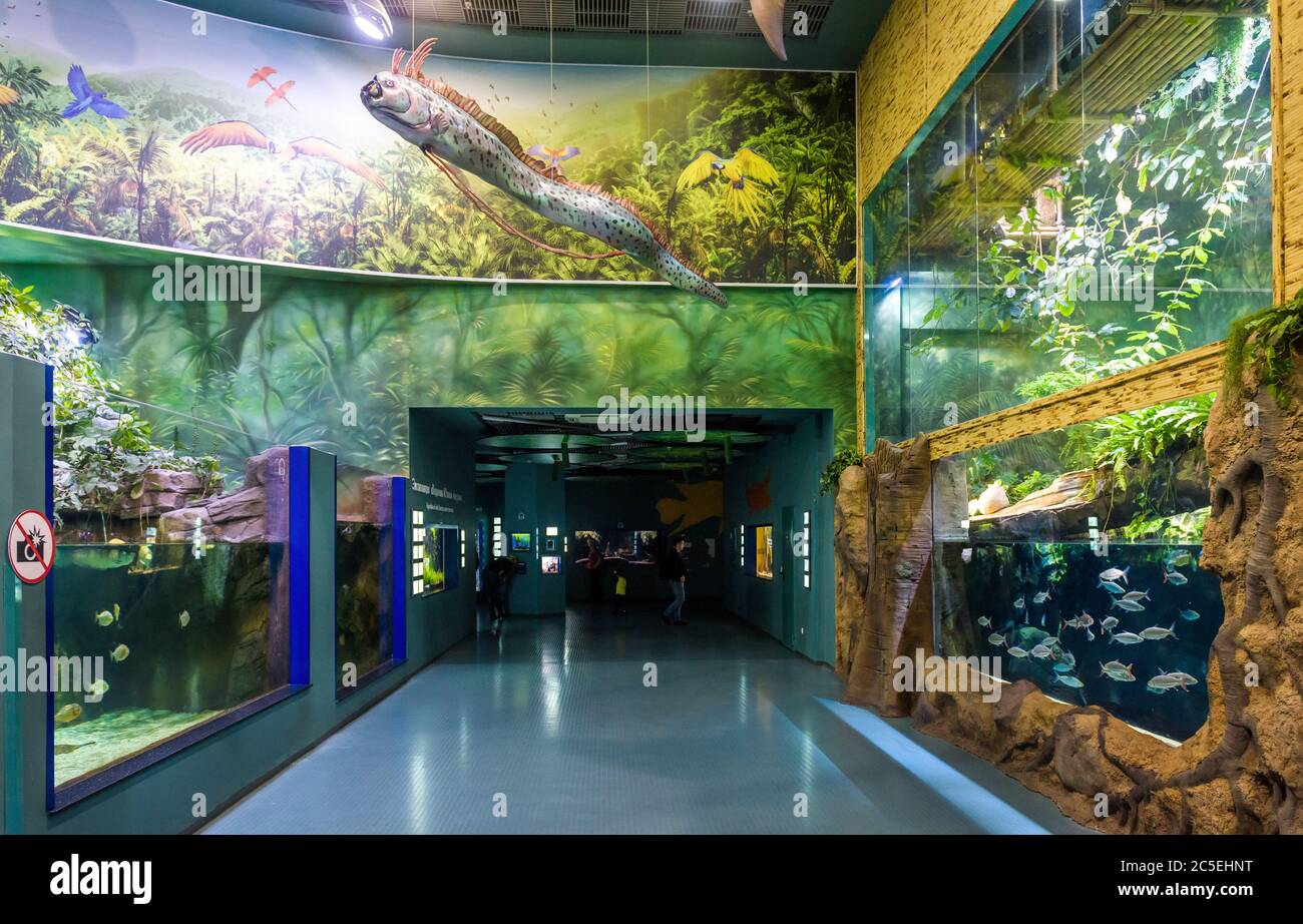 View indoor tropical park hi-res stock photography and images - Alamy