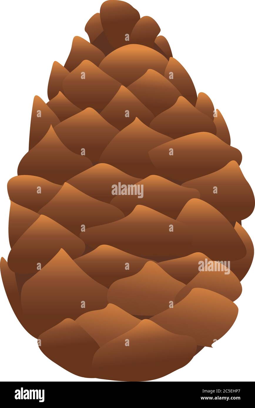 Botanical pine cone icon. Cartoon of botanical pine cone vector icon ...