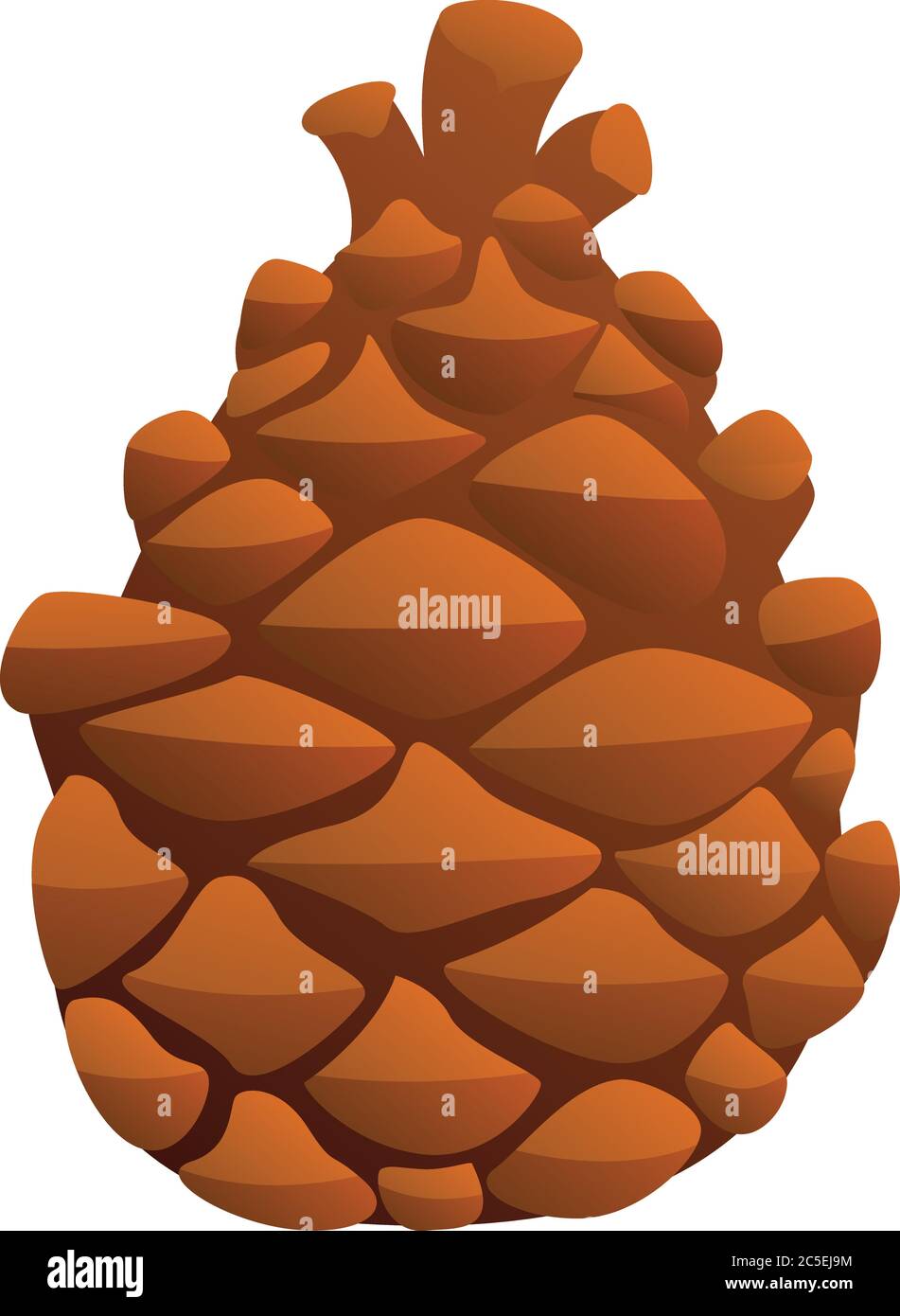 Cartoon Pine Cone