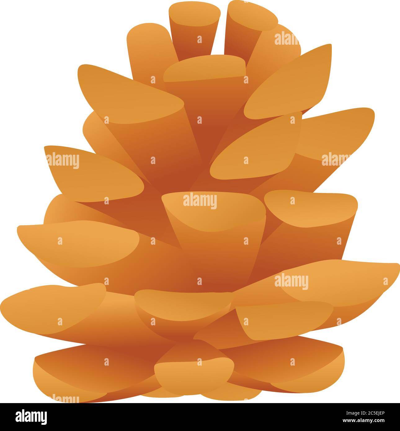 Coniferous cone icon. Cartoon of coniferous cone vector icon for web ...