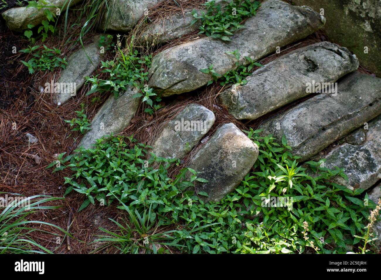 Laurel river dam hi-res stock photography and images - Alamy