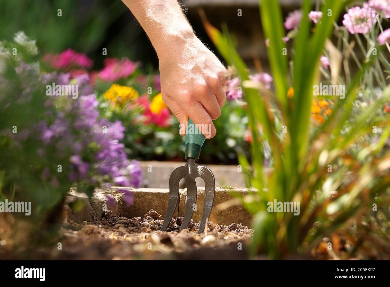 Hand trowel fork hi-res stock photography and images - Alamy