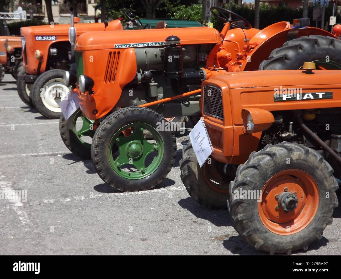 Castelnuovo don Bosco, Piedmont, Italy -07/07/2012- Exhibition of ...