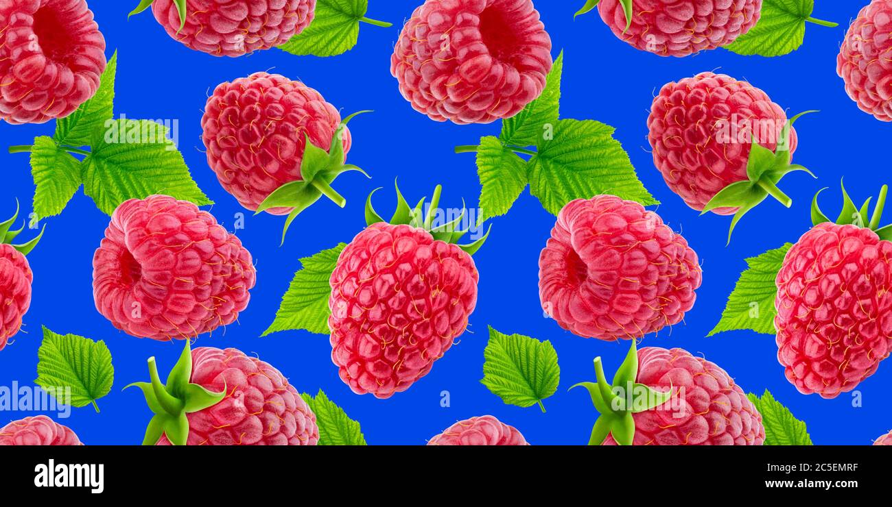 Raspberry seamless pattern isolated on blue background Stock Photo - Alamy