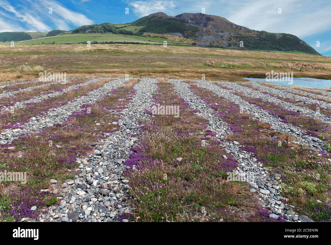 Distinctive strips of vegetated shingle hi-res stock photography and ...