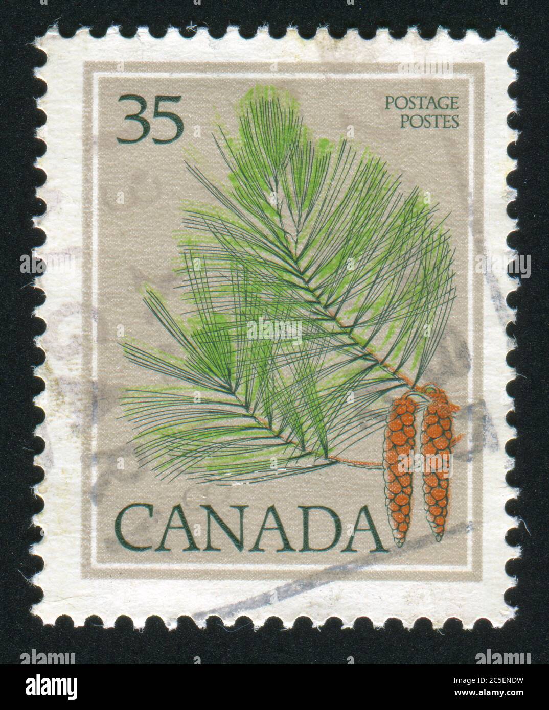 CANADA - CIRCA 1979: stamp printed by Canada, shows pine-tree, circa ...