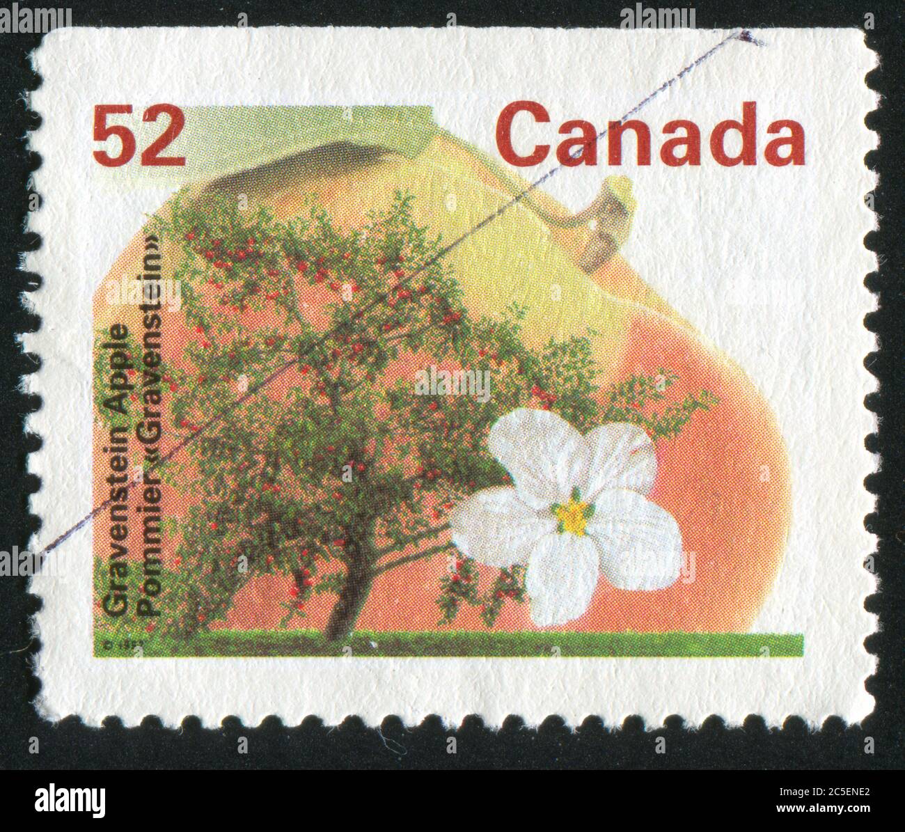 CANADA - CIRCA 1992: stamp printed by Canada, shows tree and flower ...