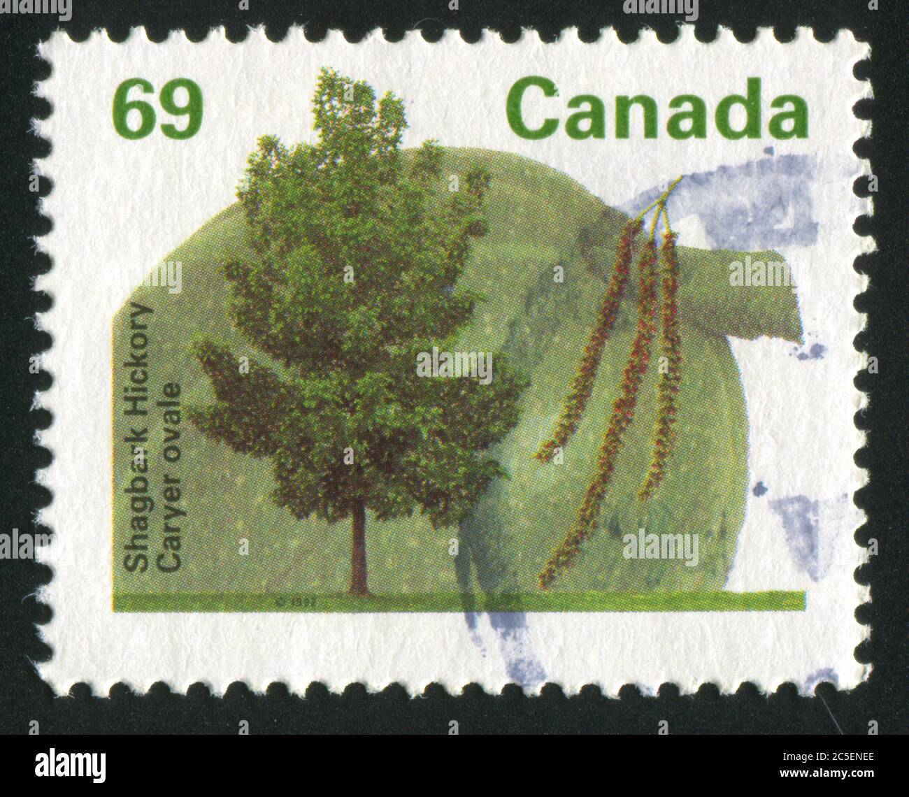 CANADA - CIRCA 1992: stamp printed by Canada, shows tree and flower ...