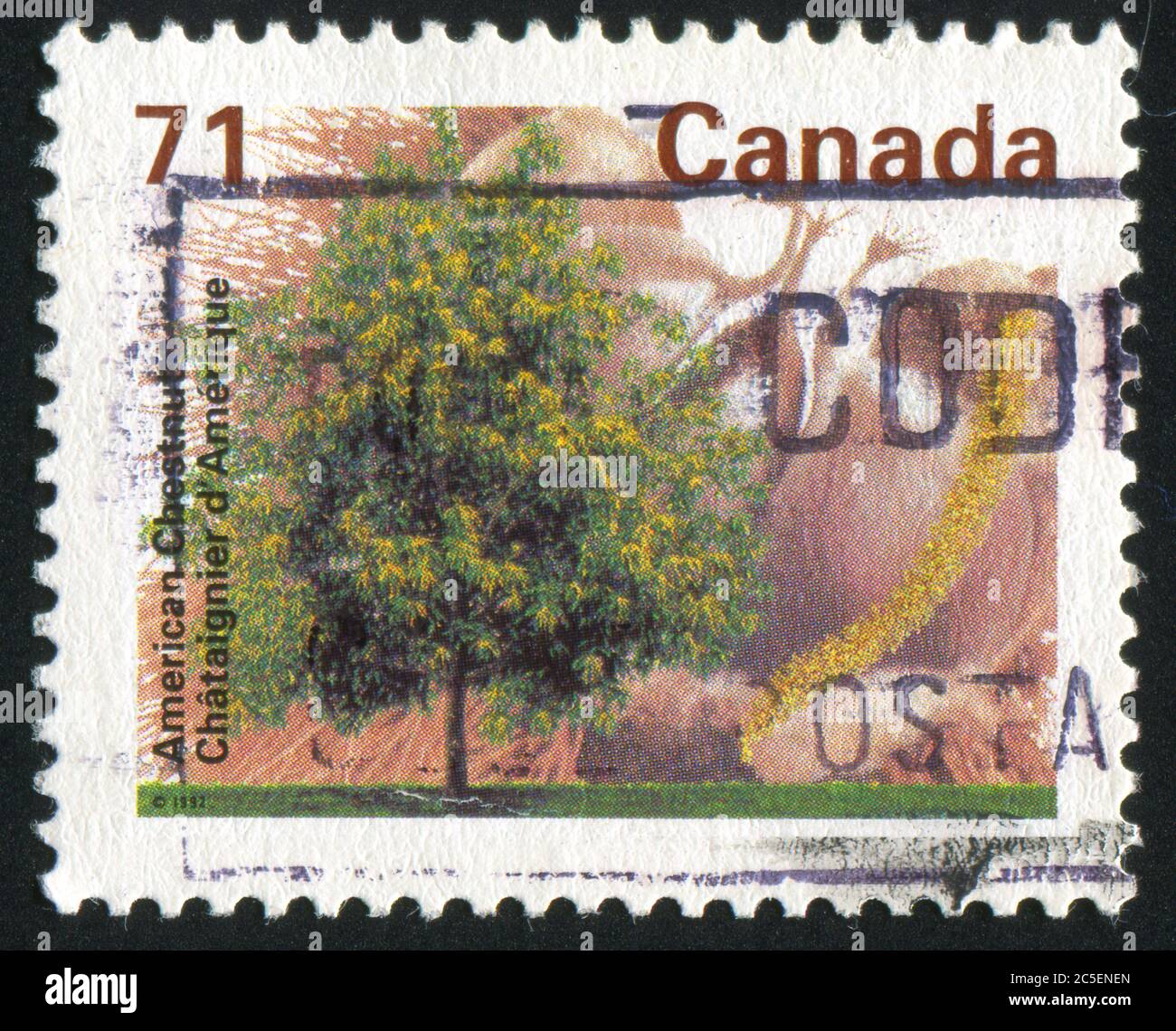 CANADA - CIRCA 1992: stamp printed by Canada, shows tree and flower ...