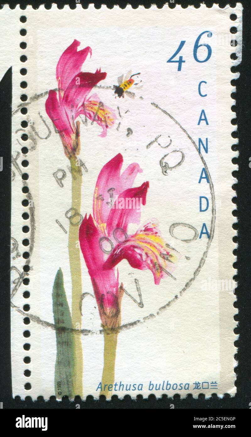 CANADA - CIRCA 1999: stamp printed by Canada, shows Canadian Orchids ...