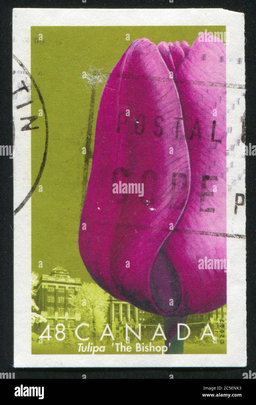 CANADA - CIRCA 2002: stamp printed by Canada, shows Tulip, circa 2002 ...