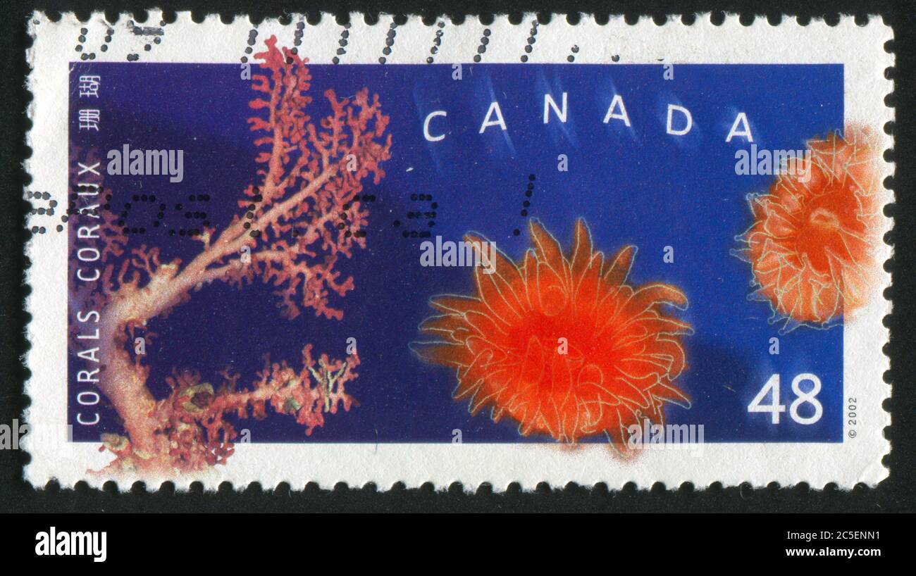 CANADA - CIRCA 2002: stamp printed by Canada, shows Corals, North ...